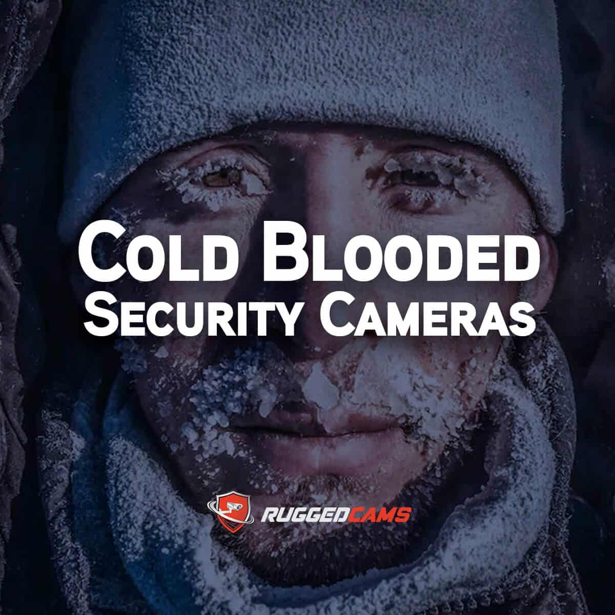 Cold Storage & Freezer Security Camera Systems | EnviroCams